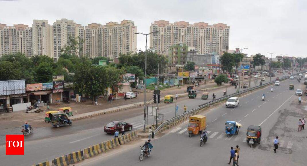 Axe to fall on 9,650 trees on Sohna Road | Gurgaon News - Times of India