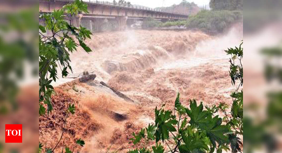 Ghaggar, Tangri swell menacingly | Chandigarh News - Times of India