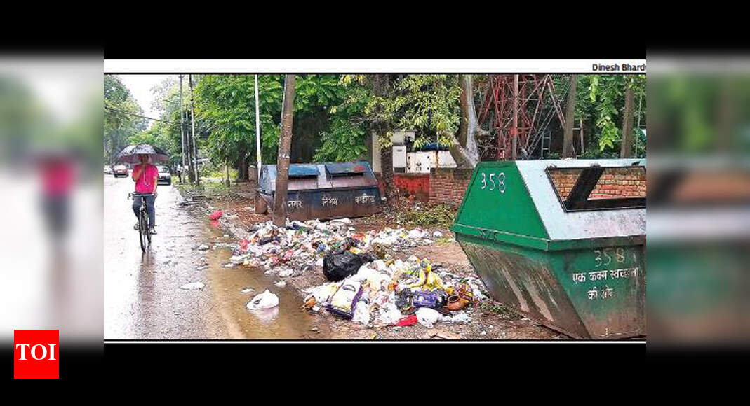 Garbage mess continues in Chandigarh | Chandigarh News - Times of India