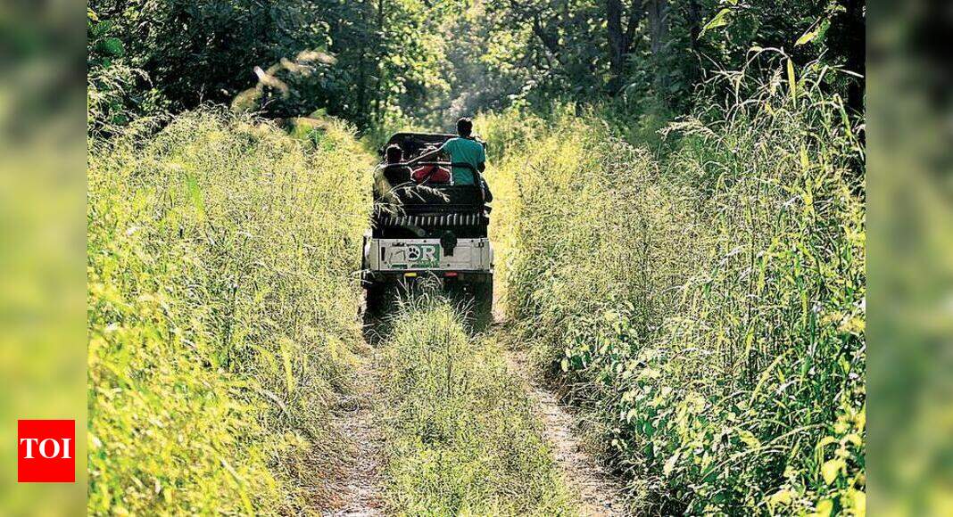 State seeks accountabilityof JFM committees | Nagpur News - Times of India