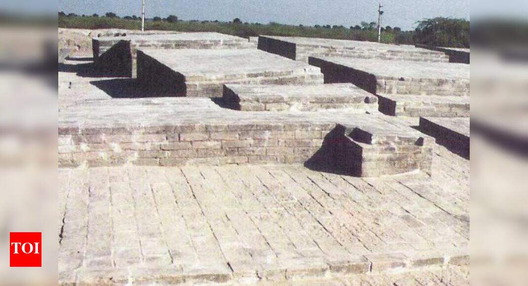 Lothal monument project begins its journey | Ahmedabad News - Times of ...