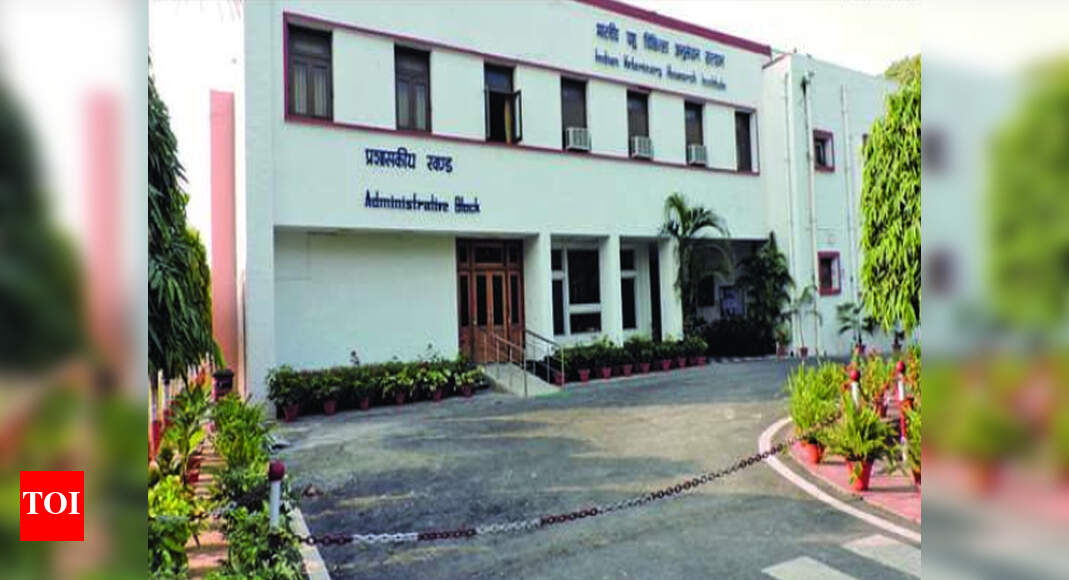 Fever deaths in Bareilly: IVRI to do research on ‘monkey malaria ...