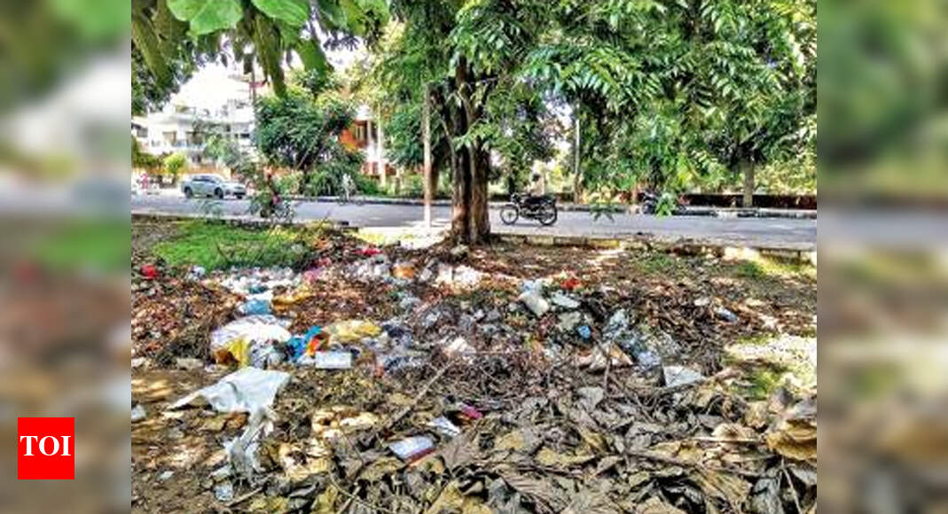 Mini-landfills come up outside houses | Chandigarh News - Times of India