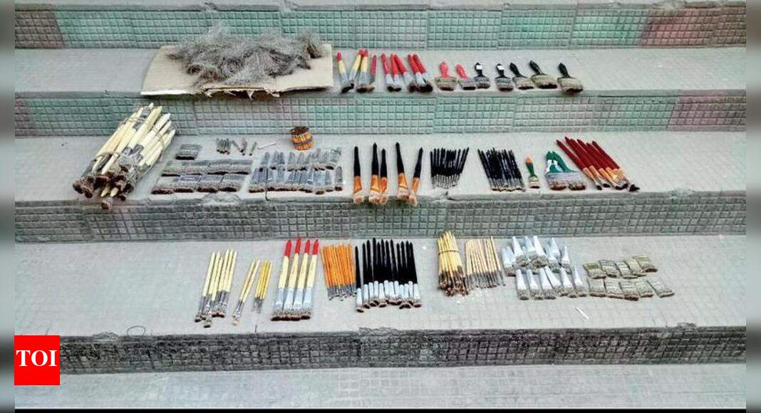 56,000 art brushes made of mongoose hair seized | Noida News - Times of ...
