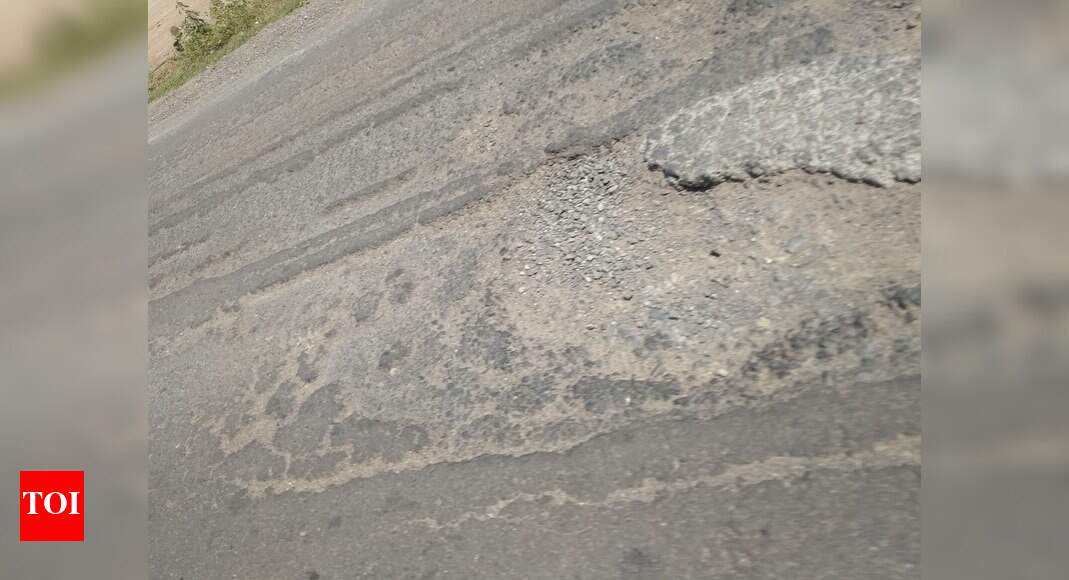 pothol on road - Times of India