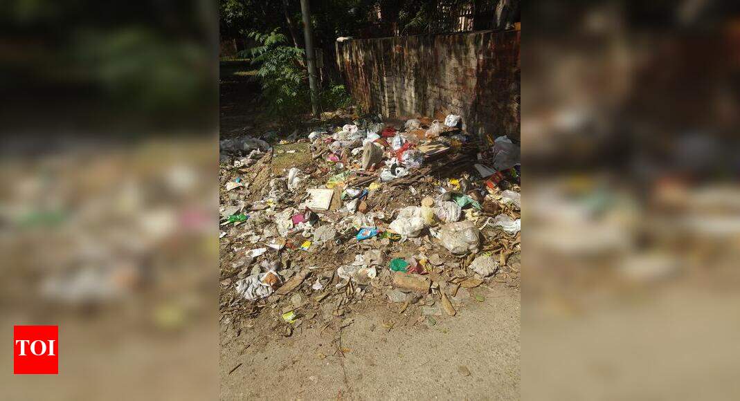 Holy garbage dump - Times of India