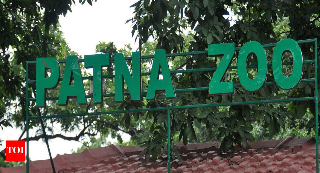 Zoo celebrates Wildlife Week | Patna News - Times of India