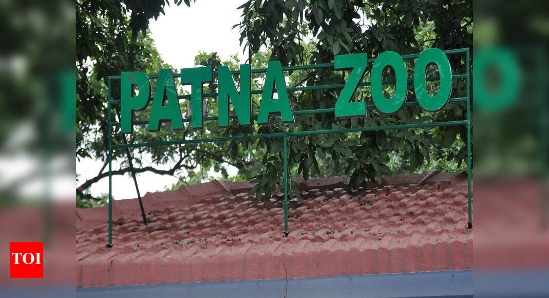 Zoo celebrates Wildlife Week | Patna News - Times of India