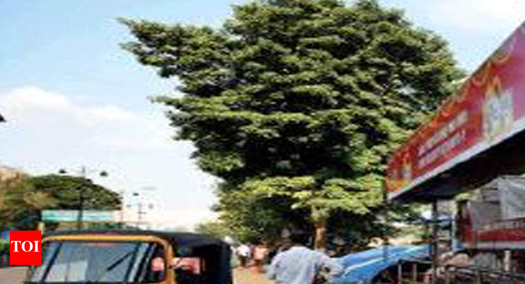 MahaMetro to shift 3 bus stops near PMC building | Pune News - Times of ...