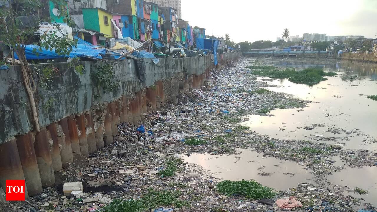 Picture Of Throwing Garbage In The River