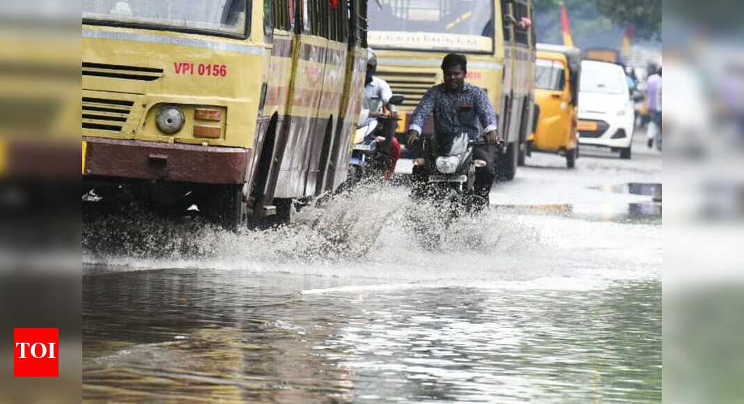 Tamilnadu weather: Chennai, several other parts of Tamil Nadu receive rain; holiday declared for ...