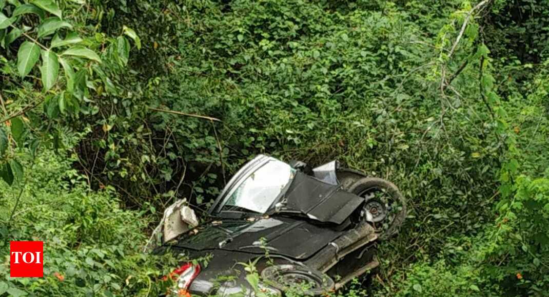Nilgiris road accident: Condition of one of the two survivors remains ...