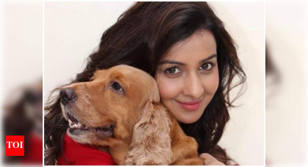 Chhavvi Pandey’s special message for World Animal Day - Times of India