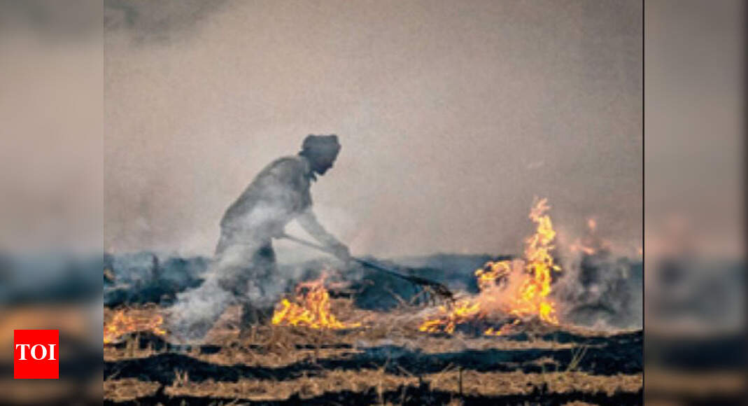 Delhi pollution: Farm fires set to pollute NCR again | Delhi News ...