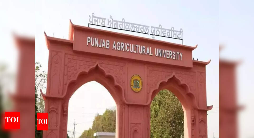 Punjab Agricultural University Gate 2 to reopen today | Ludhiana News ...