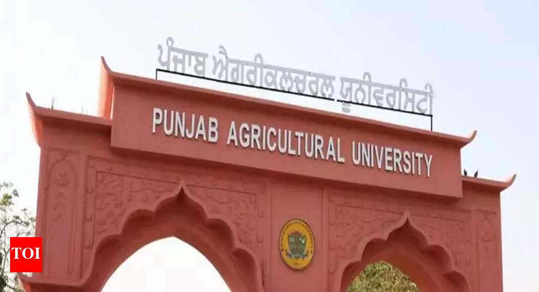 PAU signs MoA for brewed fruit vinegar technology | Ludhiana News ...