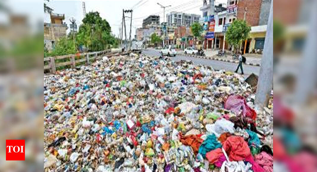 Messy: Bins overflow, make Dhakoli colony messy | Chandigarh News ...