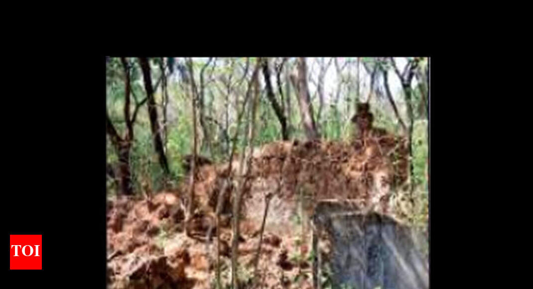 Mount Carmel: Mount Carmel ruins have tourism scope, save it: Chimbel ...