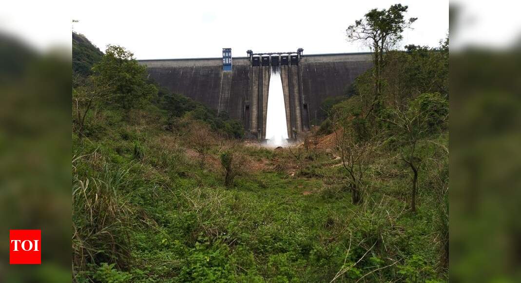 One shutter of Cheruthony dam opened in Idukki | Kochi News - Times of ...