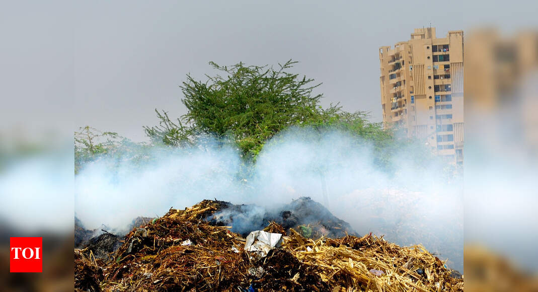 Delhi: Green marshals to curb open burning of waste | Delhi News ...