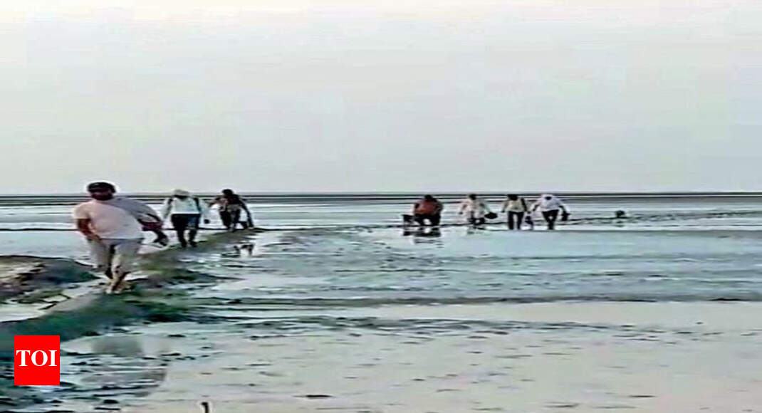 10 pilgrims trapped in quicksand rescued | Rajkot News - Times of India