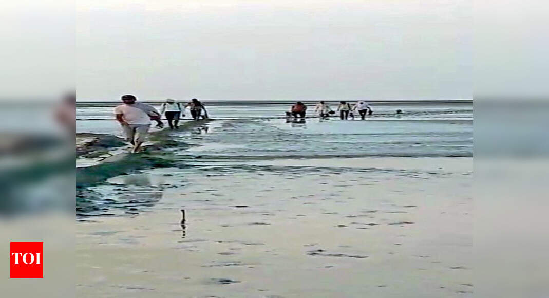10 pilgrims trapped in quicksand rescued | Rajkot News - Times of India