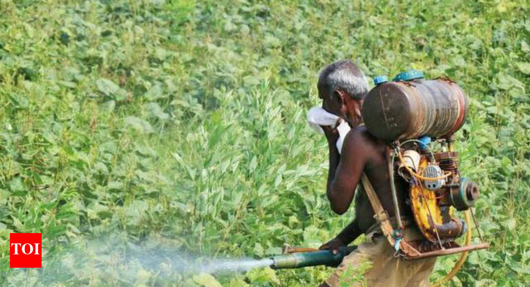 Farmers likely to earn 20% higher MSP on organic crop | India News ...