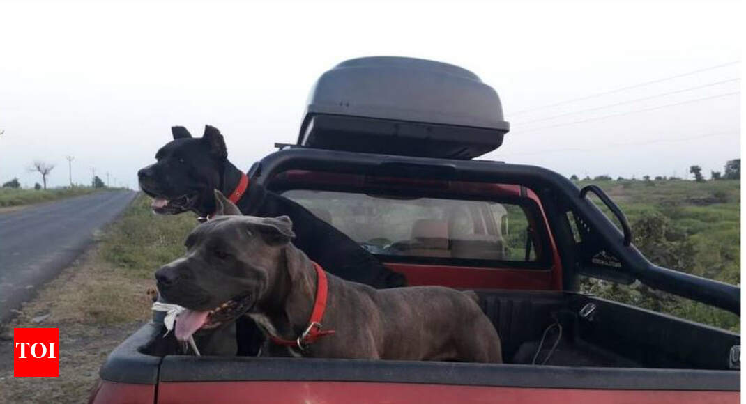 Jyoti Randhawa to lead team of dogs in hunt for maneater T1 | India ...