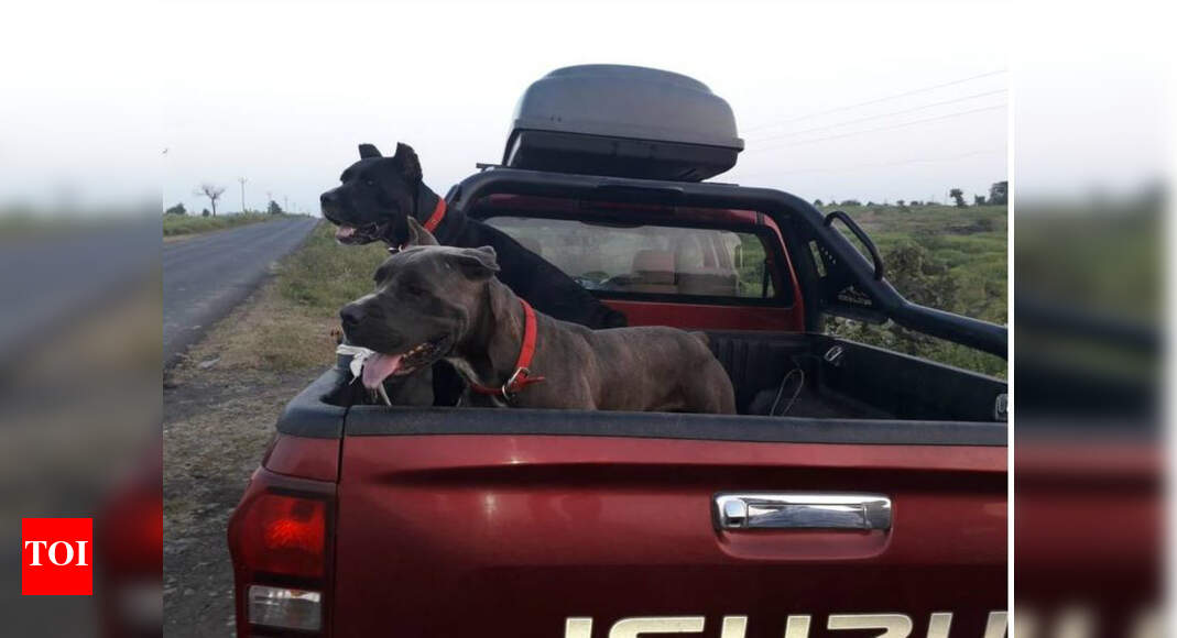 Jyoti Randhawa to lead team of dogs in hunt for maneater T1 | India ...