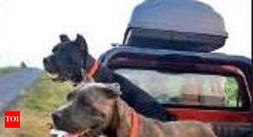 Jyoti Randhawa to lead team of dogs in hunt for maneater tigress ...