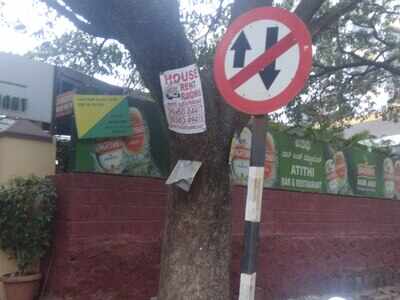 ads on tree - Times of India