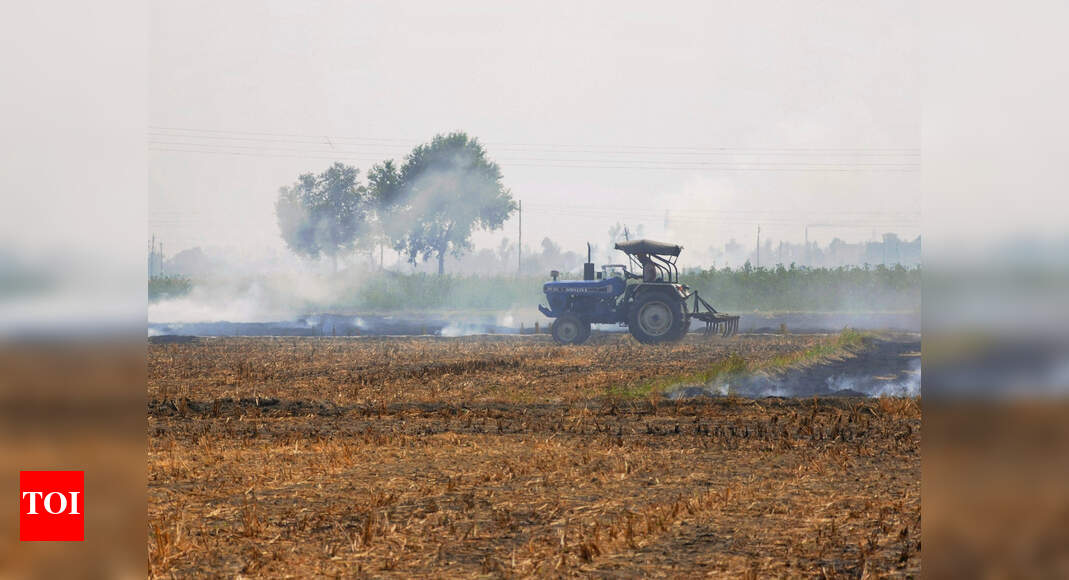 Stubble Burning: Crop fires start, we will know only by October-end if ...