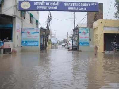 Heavy rain leaves Ambala waterlogged, farmers meet DC for crop ...