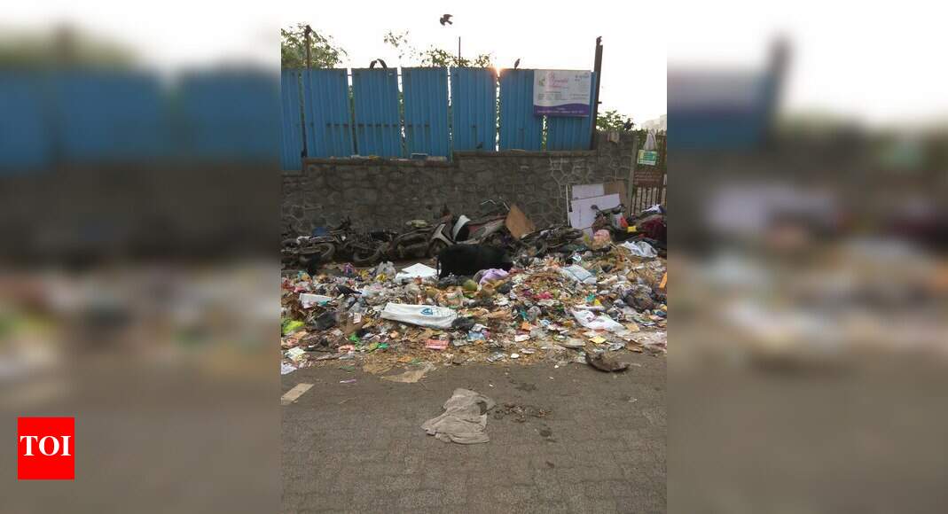 CLEAN MUMBAI, BEAUTY OF PIGS SCRAP AND BRICKS - Times of India