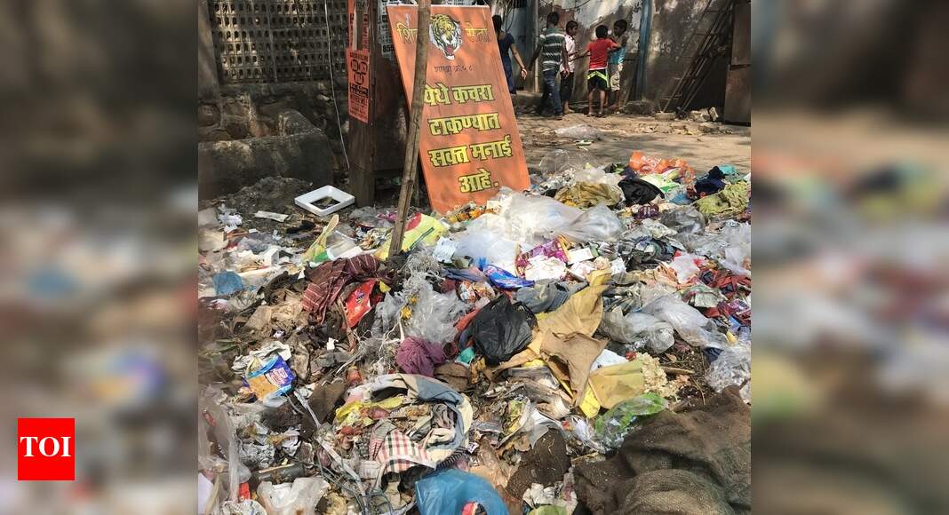 Industrial Zone becoming Major Garbage Dump Zone - Times of India