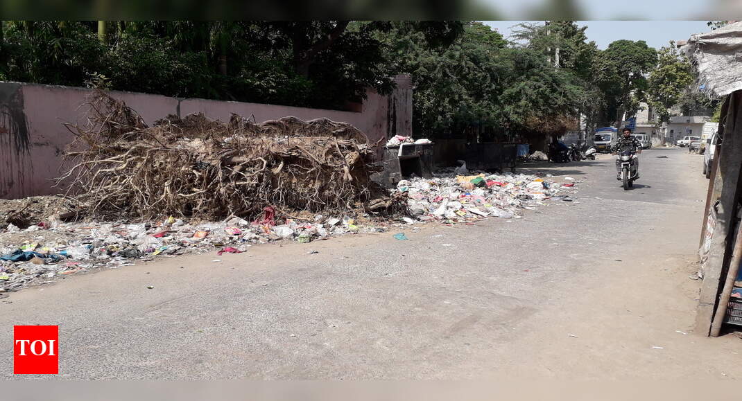 Road or garbage dump? - Times of India