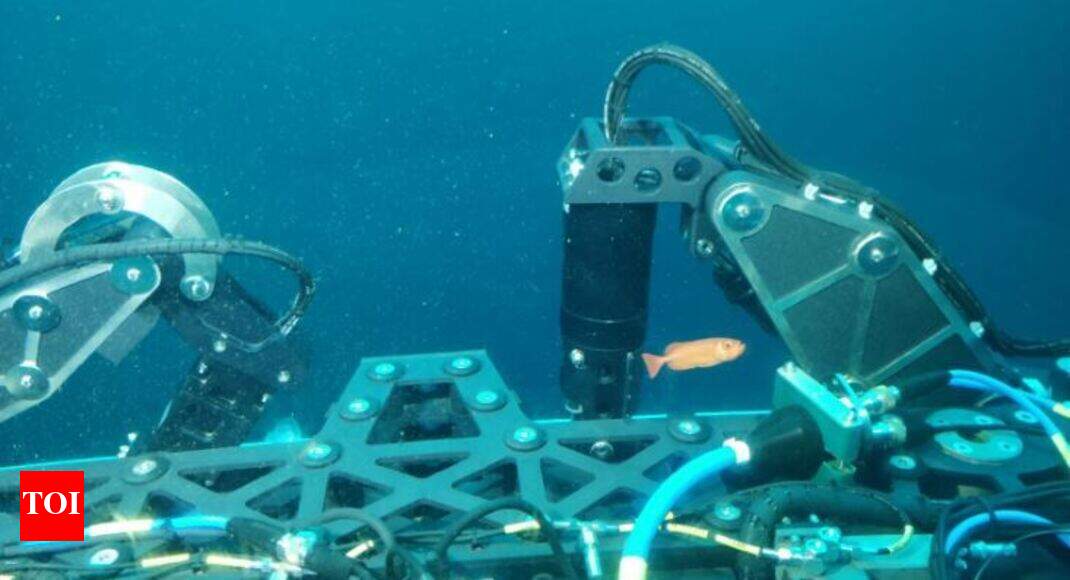 Indian Navy acquires deep submarine rescue capabilities | India News ...