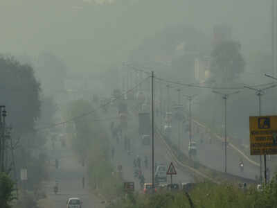 Air quality deteriorates over past week, affects visibility slightly ...
