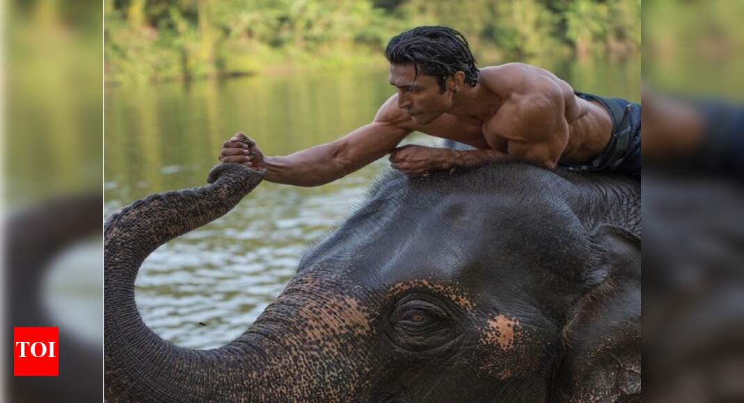 ‘Junglee’: The teaser of the Vidyut Jammwal starrer to be out tomorrow ...