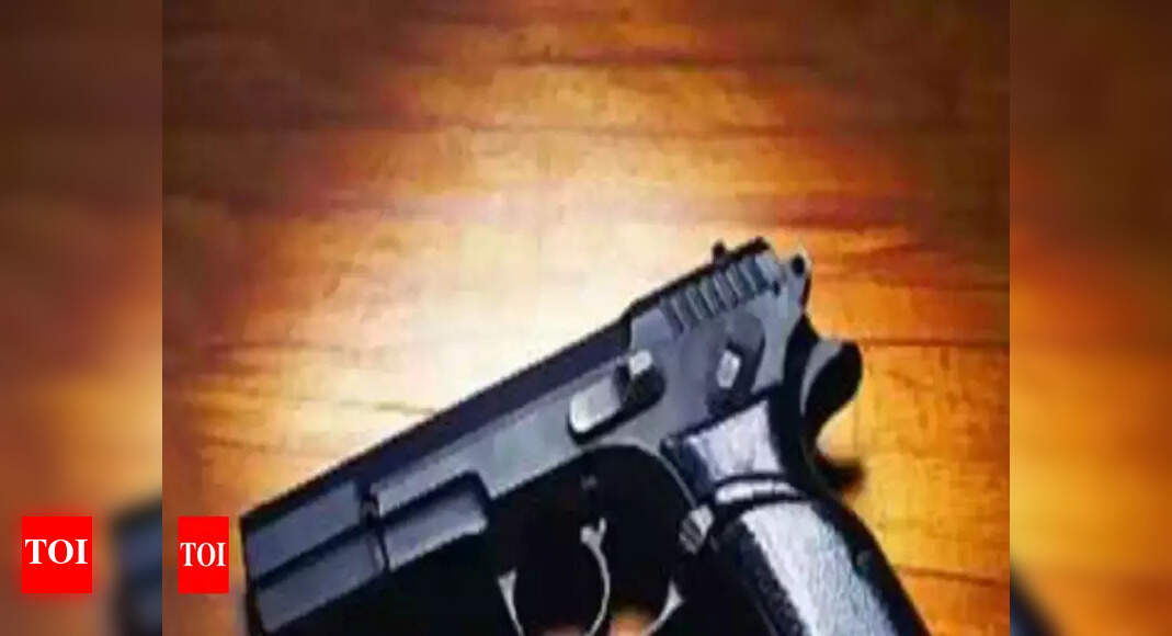 Gun goes off at district collectorate, triggers panic | Noida News ...