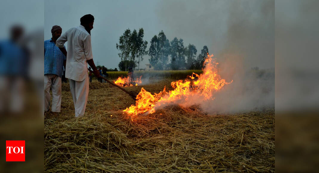 Stubble Burning: Machinery yet to make farmers change stand on stubble ...