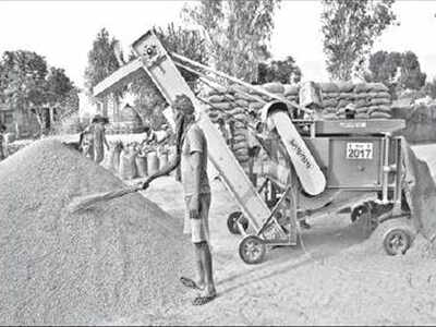 Mansa farmers prefer to go to Haryana mandis for paddy with high ...