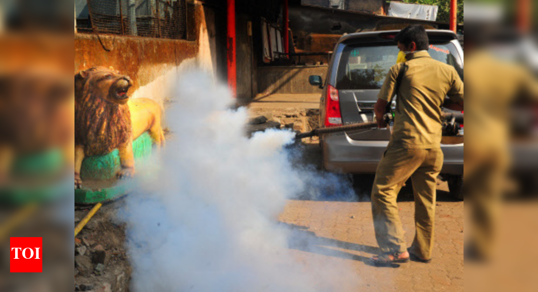 Dengue claimed 80 lives, affected 40,000 people till September 18 ...