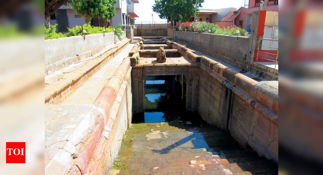 This vav in Halvad is not a forgotten structure | Ahmedabad News ...