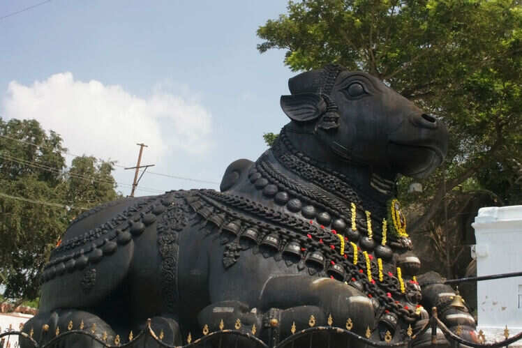 10 scintillating pictures of Mysore for a true traveller | Times of ...