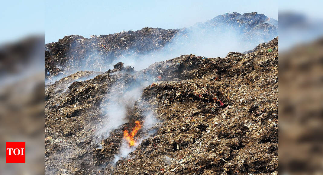 Air Quality Index: 'Green' Dwarka is the Delhi's new pollution hotspot ...