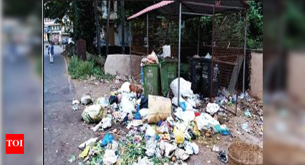Dumping ground turns into a conversation spot | Goa News - Times of India
