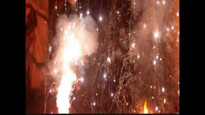 Ujjain BJP MP declares intentions to defy SC deadline on crackers ...