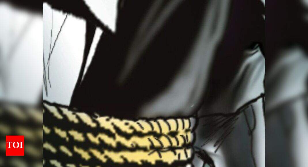 Robbers: Robbers tie up elderly woman, hit her with pistol in Delhi ...