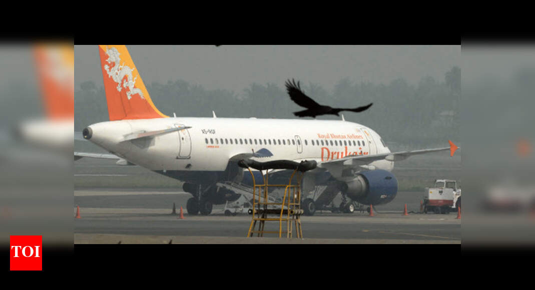 Kolkata Airport: Kolkata airport tops in bird hits among metros ...
